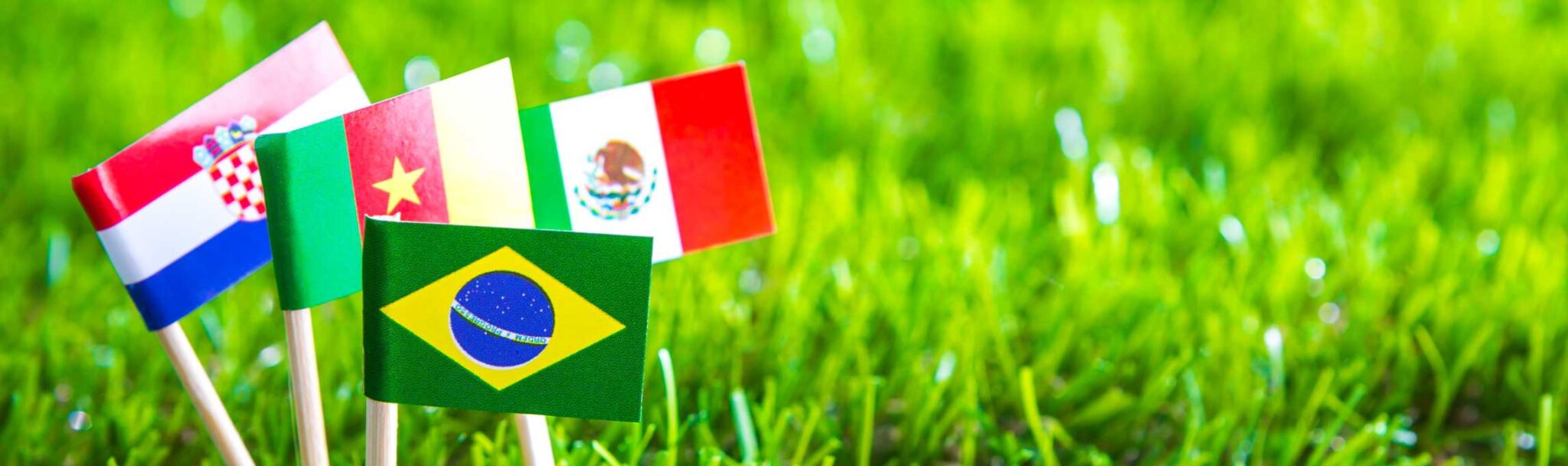 Brazilian Citizenship and How to Naturalize in Brazil